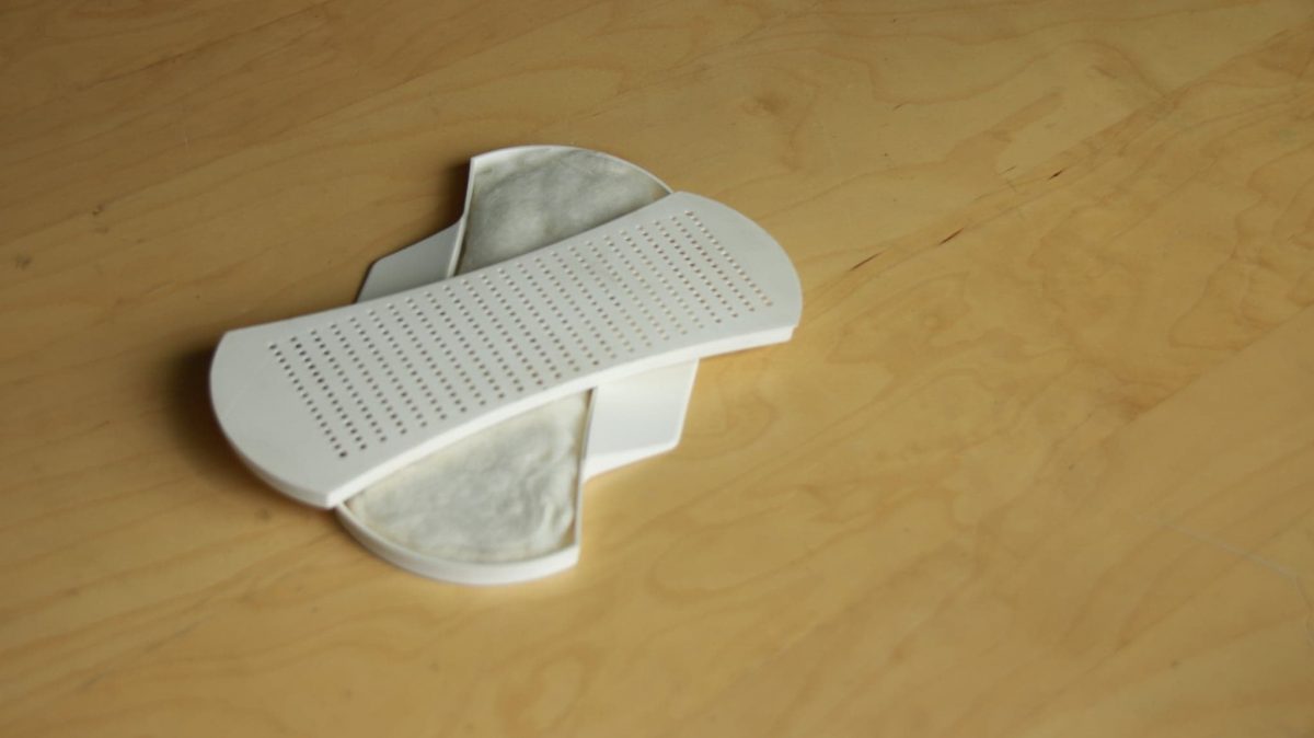 U of A social enterprise wins $10,000 to make biodegradable menstrual ...